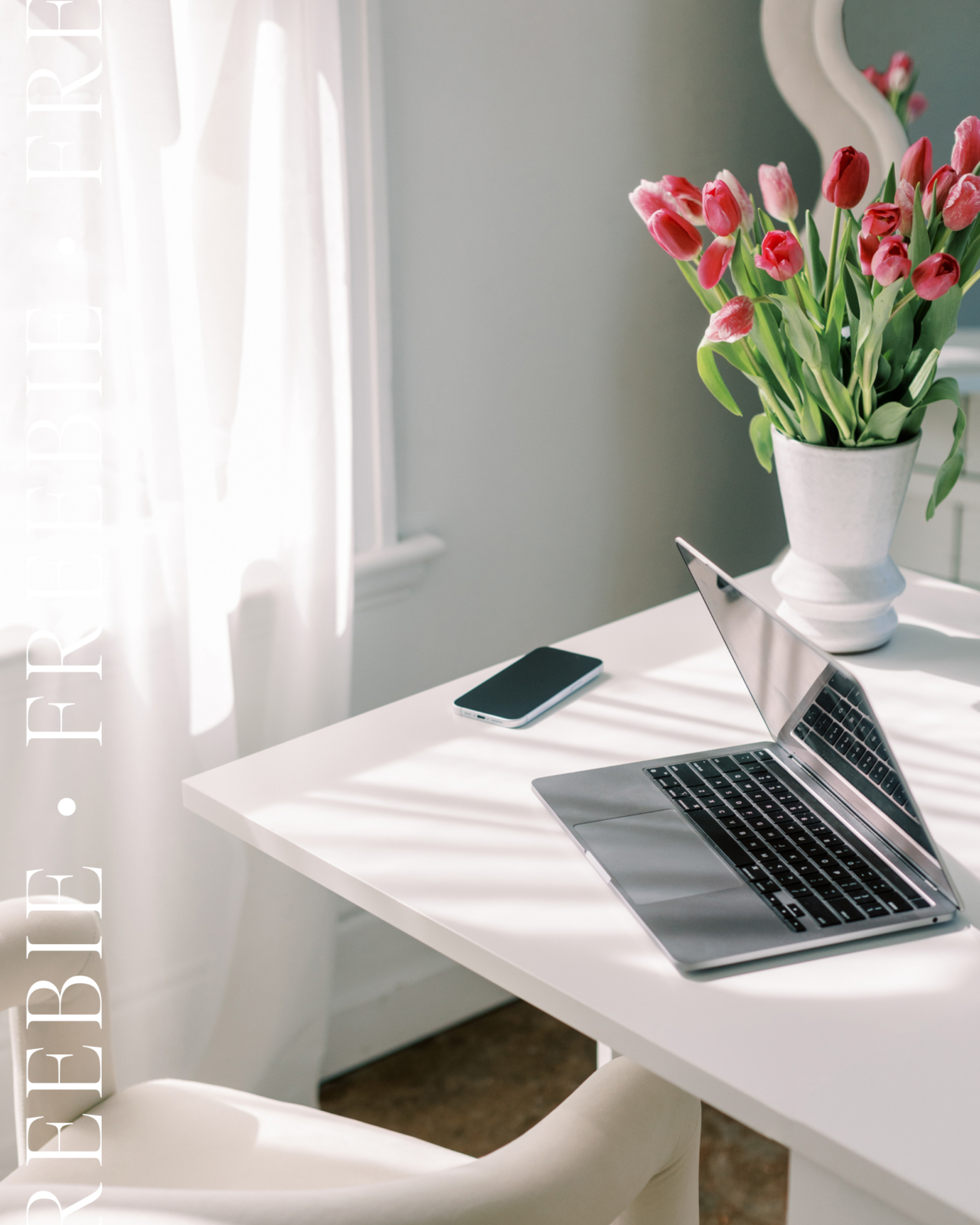 The Circle Image Size Cheat Sheet! | The Community Lab